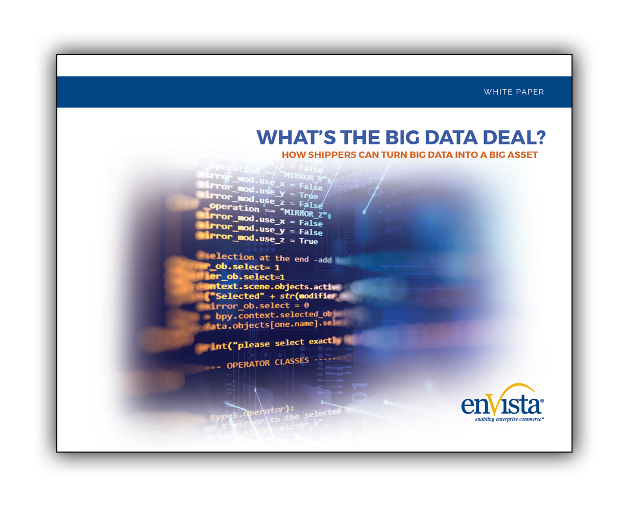 White Paper Whats The Big Data Deal
