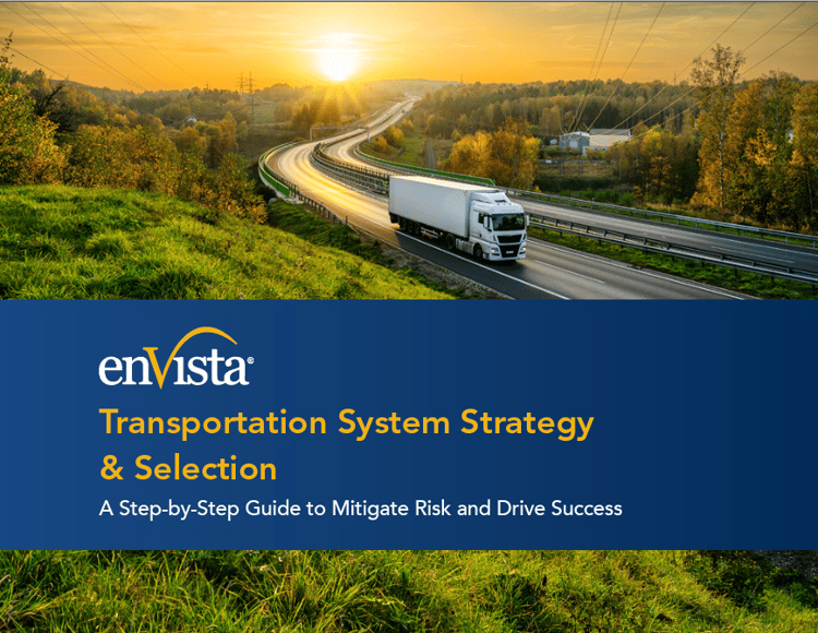 Transportation Systems Strategy and Selection White Paper | enVista